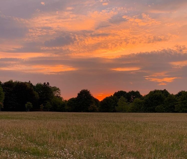 성경진리사역원(BTMK) | 합당한 인간 생활